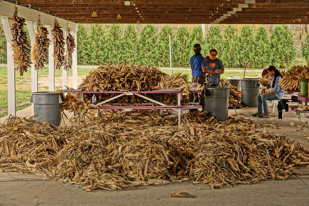 'You gotta keep the seed going': Onondaga Nation resumes corn husking ...
